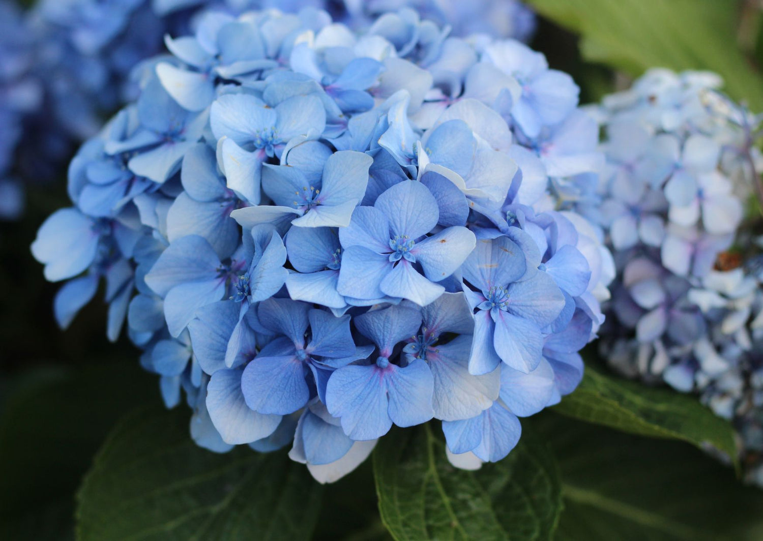 The power of blue – Resinating